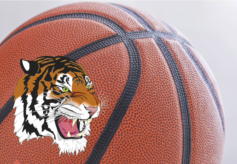 Rumors swirl around Craig Teagle as lead candidate for Tigers’ boys ...