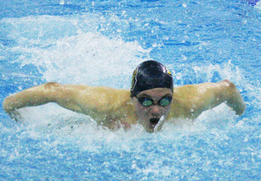Knights, Tigersharks have successful boys’ swimming prelims | News Banner