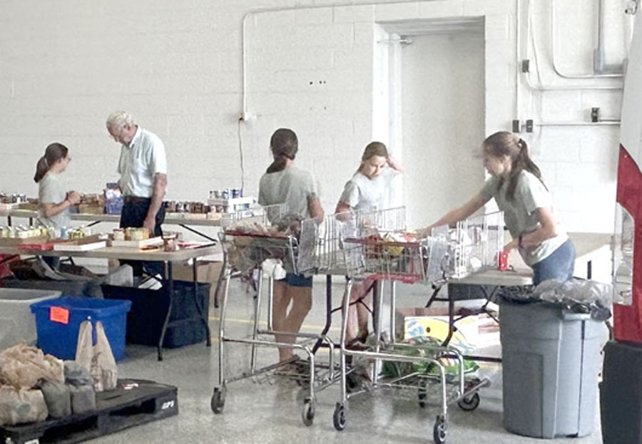 Sorting them out | News Banner