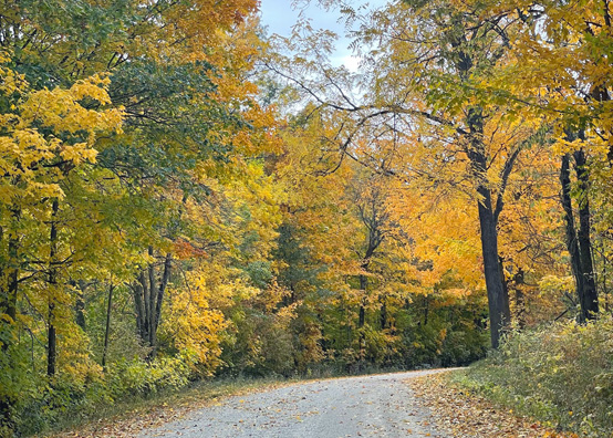 Autumn comes to Wells County | News Banner