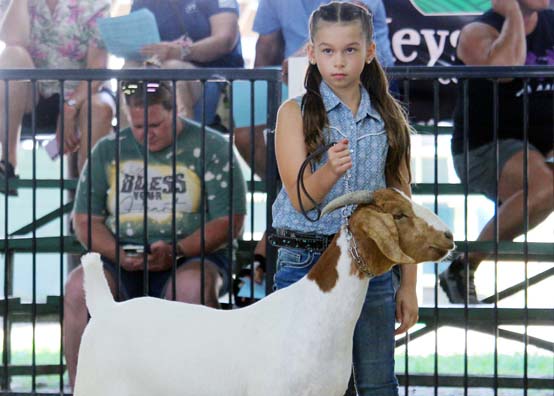 Show season | News Banner