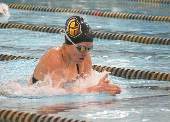 Norwell speeds past East Noble in NE8 swim meet | News Banner
