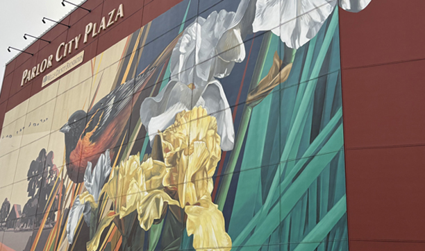 Downtown Iris Day set for May 30 | News Banner